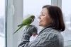Gadająca papuga: cena, gatunki. Które mówią najlepiej?